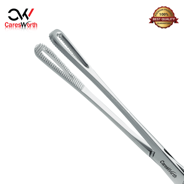 Foerster Polypus and Sponge Holding Forceps 25cm(9.5inch)